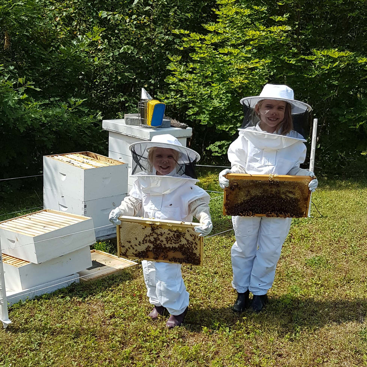Happy Bee Honey Story - Miramichi New Brunswick